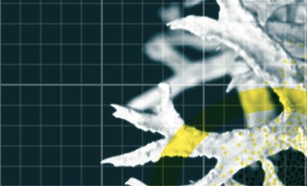 Open Source Body - Magazine des Cultures Digitales