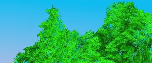 Magazine des Cultures Digitales